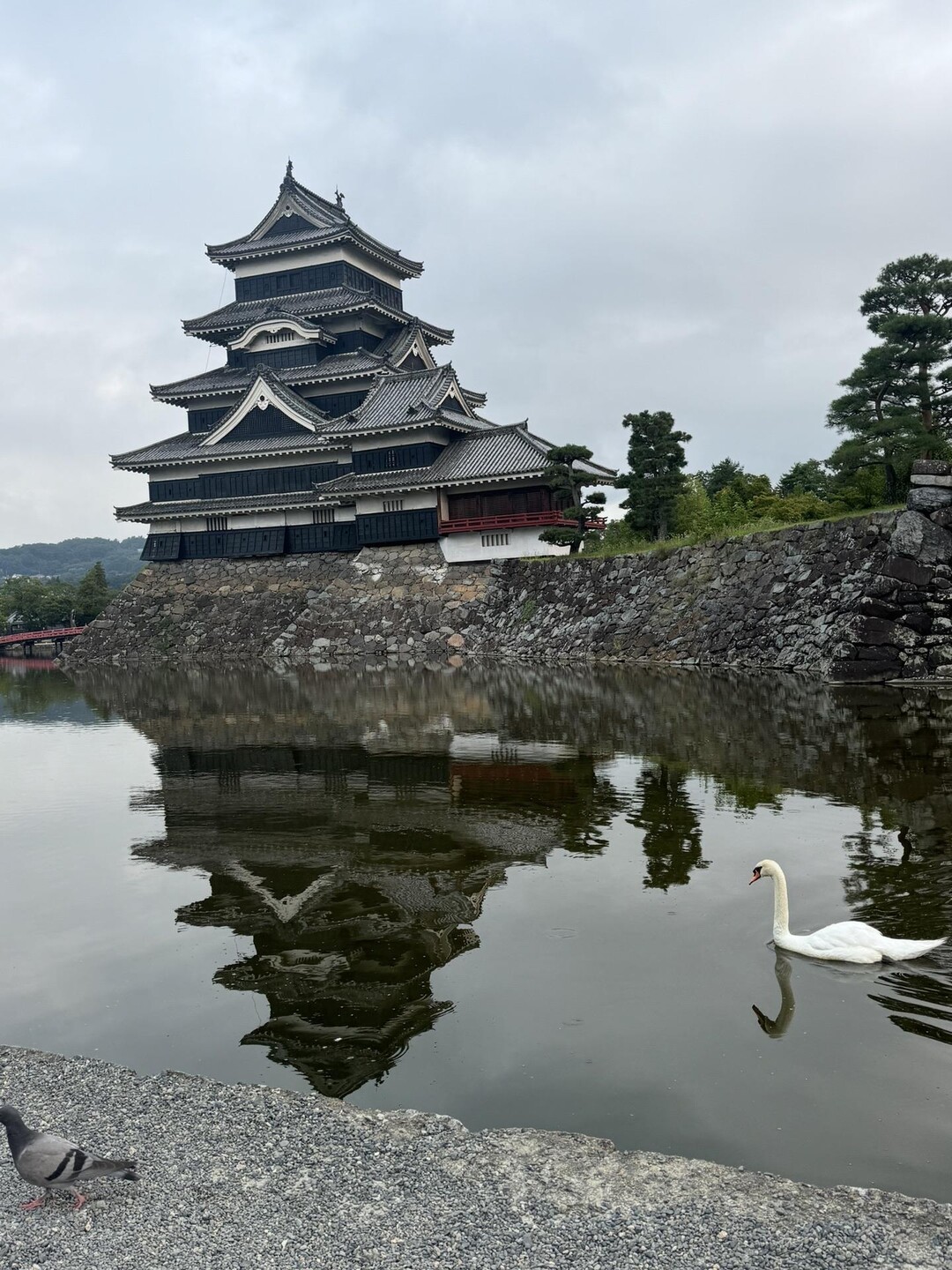 おはようございます😃 いつもは海散歩で... / まさtabさんのモーメント | YAMAP / ヤマップ