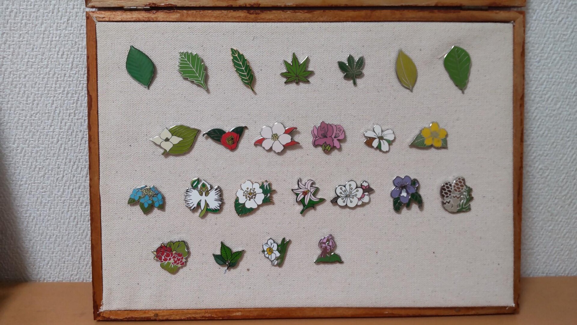 緑の基金バッジ（春）コレクションが増えま... / Koji.Hさんのモーメント | YAMAP / ヤマップ