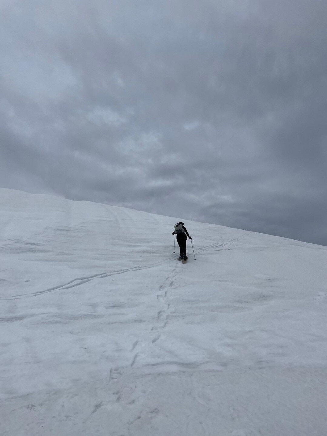 前山・銀杏峯 / susanさんの銀杏峰・部子山の活動データ | YAMAP / ヤマップ