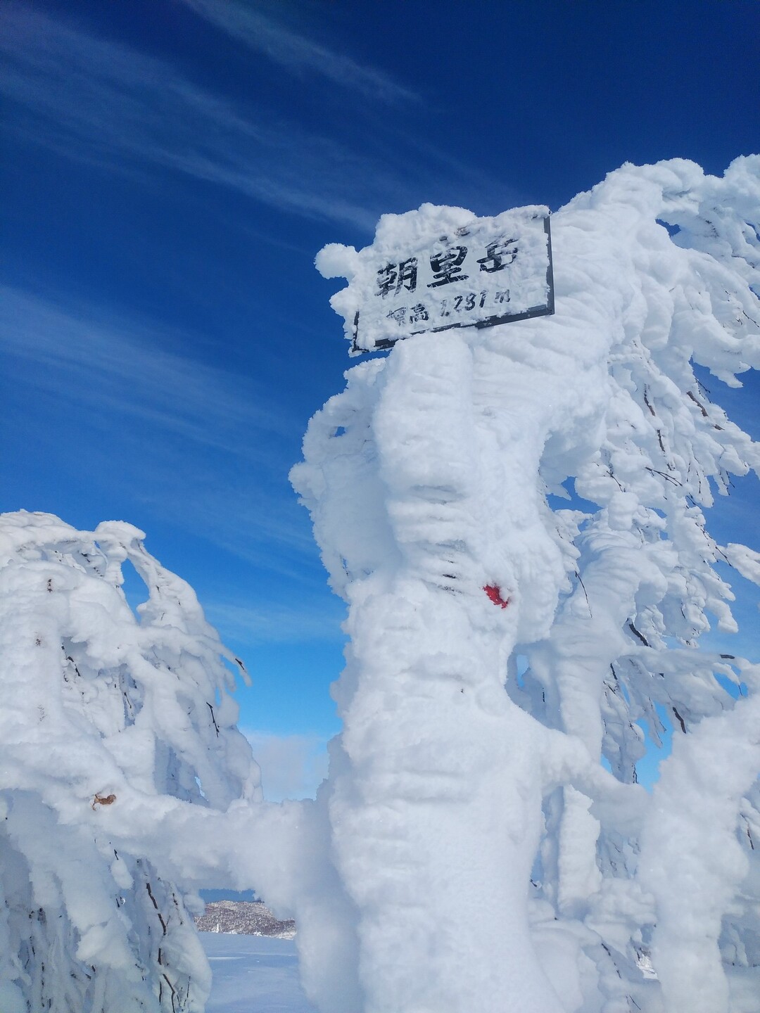 感動！ソロッと朝里岳BC-2022-01-06 / TARIさんの余市岳・定山渓天狗岳の活動データ | YAMAP / ヤマップ