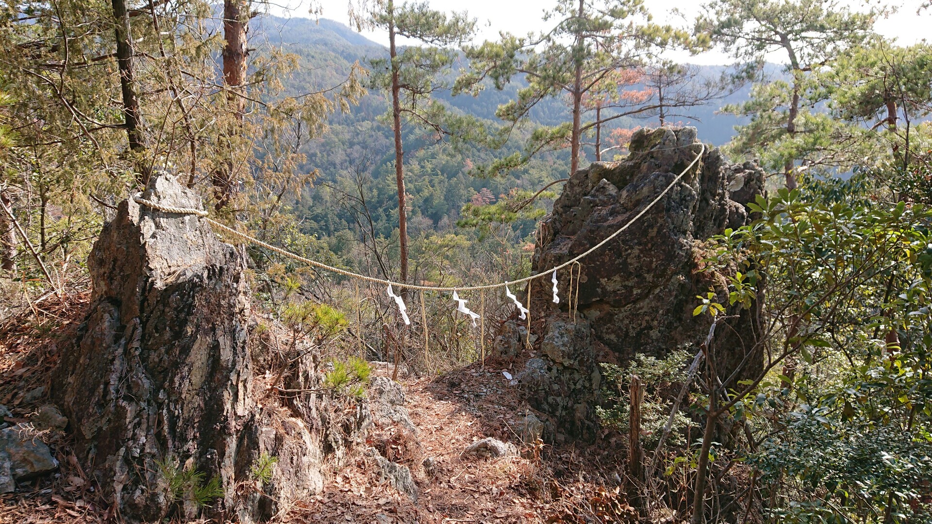 hiyoko🐥さんの投稿したフィールドメモ | YAMAP / ヤマップ