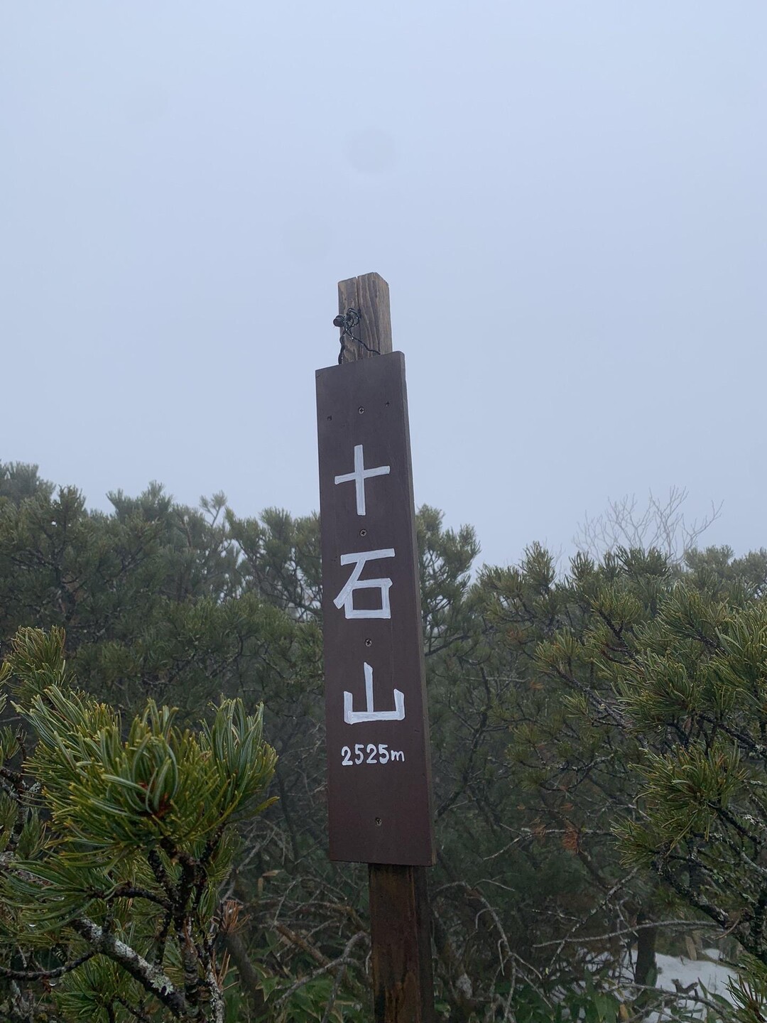 乗鞍山系の十石山ソロ、ガッスガス😭 / shintaさんの乗鞍岳の活動データ | YAMAP / ヤマップ