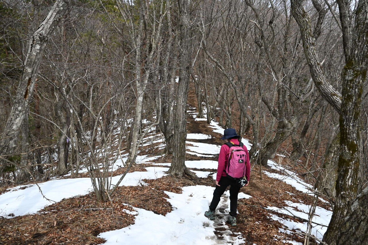 yukaのページ | YAMAP / ヤマップ