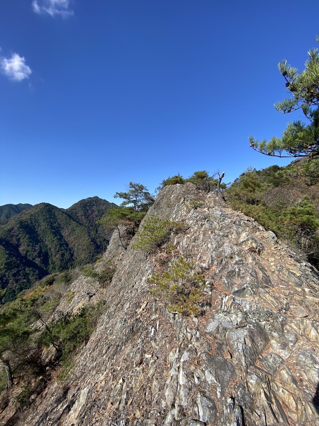 七種槍・七種山 / Genさんの七種山の活動データ | YAMAP / ヤマップ