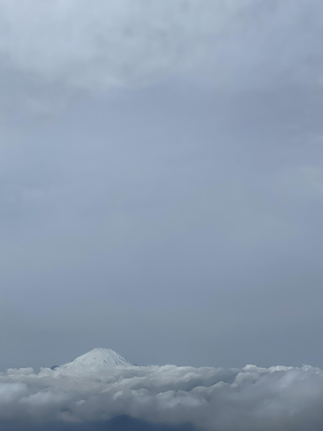 RIE.さんの投稿したフィールドメモ | YAMAP / ヤマップ