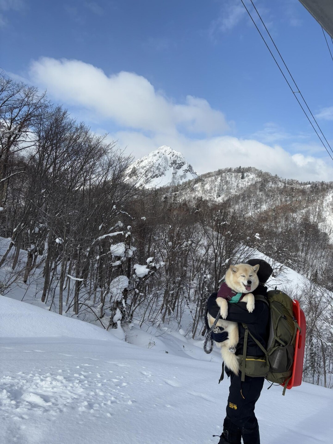 中天狗 / midoriさんの百松沢山の活動データ | YAMAP / ヤマップ