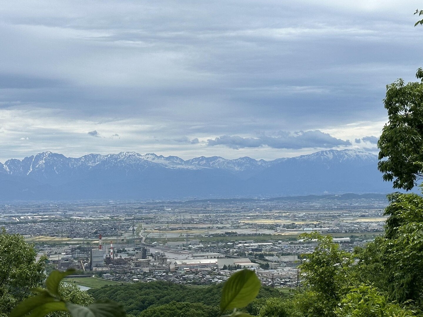 二上トレイルラン10km / ヒロポンさんの二上山・大師ヶ岳・摩頂山の活動データ | YAMAP / ヤマップ
