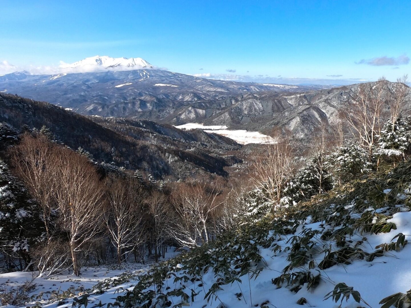 辰ヶ峰 / 305さんの野麦峠の活動データ | YAMAP / ヤマップ
