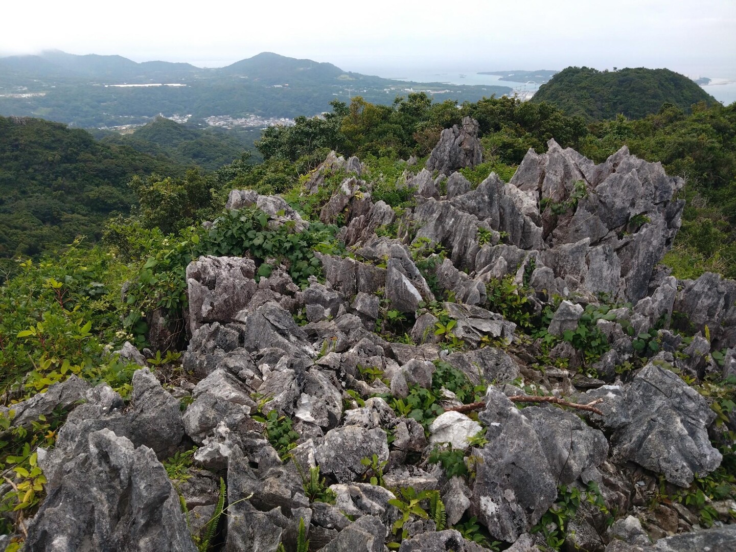 本部富士 / moneさんの本部富士・デーサンダームイの活動データ | YAMAP / ヤマップ