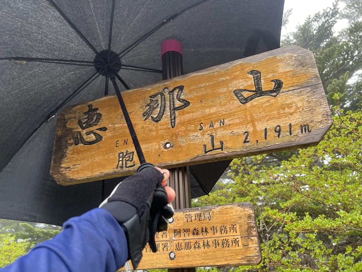 シャクナゲの恵那山🌸 / Tomy さんの恵那山・大判山・神坂山の活動データ | YAMAP / ヤマップ