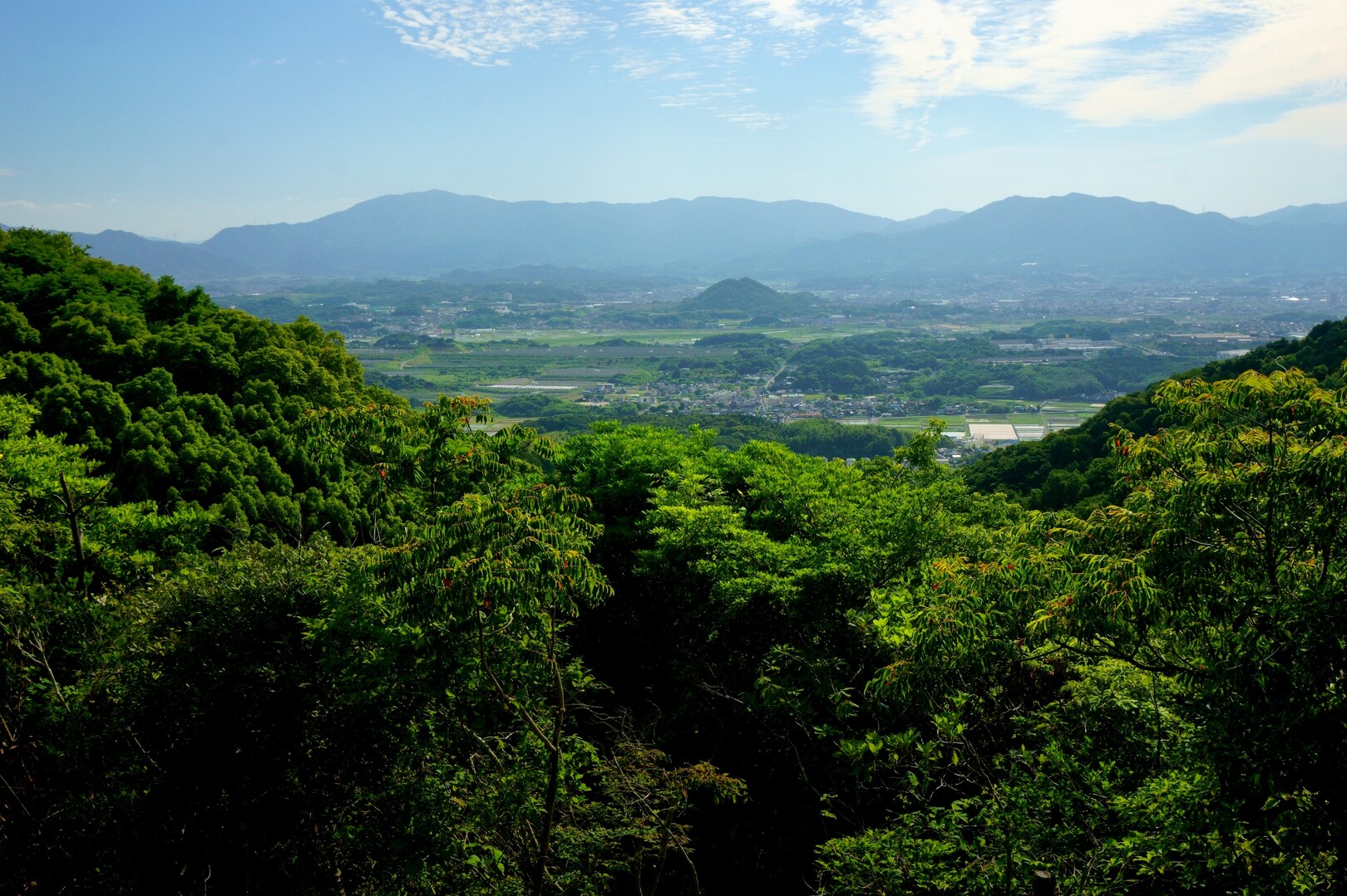 関の山・・・梅雨の青空に浮き浮きの山歩き / masamasaさんの関の山の活動データ | YAMAP / ヤマップ