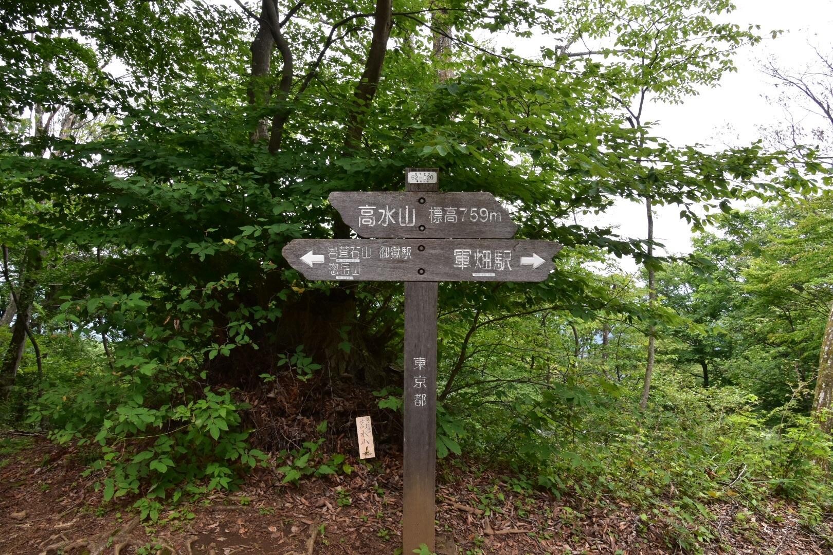 高水山・岩茸石山・馬仏山・惣岳山 / Morryさんの高水山・岩茸石山・惣岳山の活動データ | YAMAP / ヤマップ