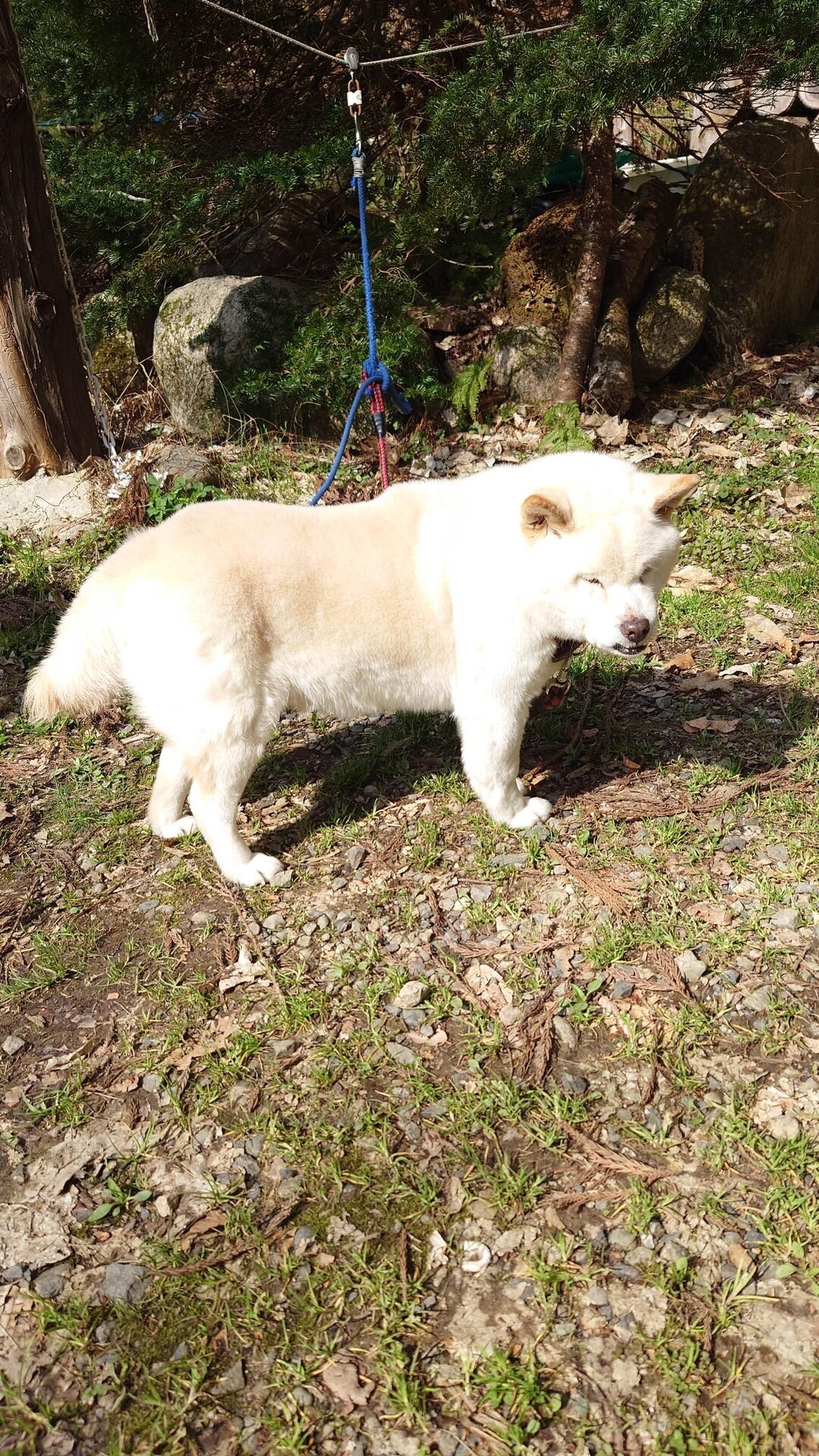 菩提寺山 / ko1さんの菩提寺山・高立山・護摩堂山の活動日記 | YAMAP / ヤマップ