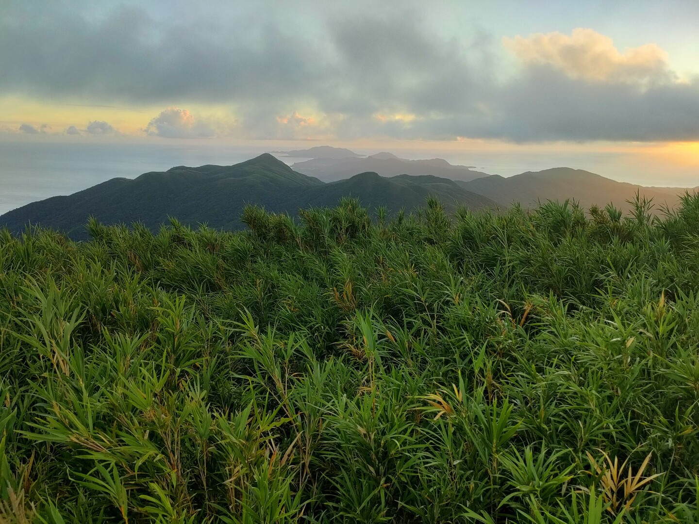 於茂登岳へGO! / miloさんの石垣島 南部の活動データ | YAMAP / ヤマップ