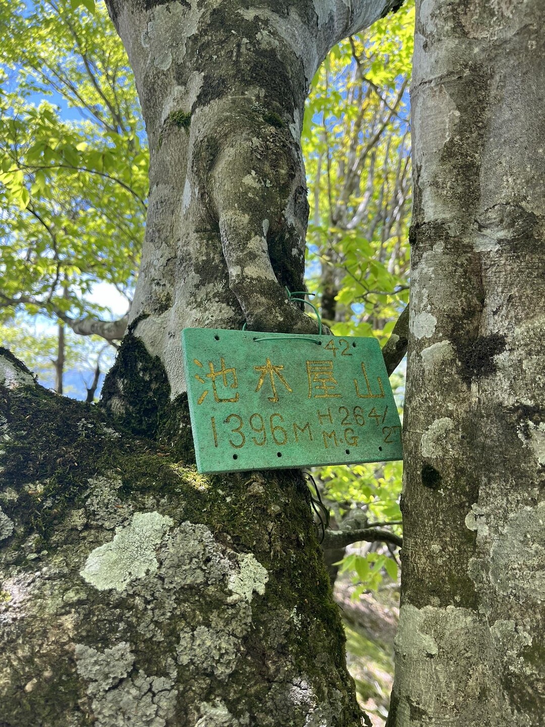 霧降山・奥ノ平峰・池木屋山 / yattinさんの池木屋山の活動データ | YAMAP / ヤマップ