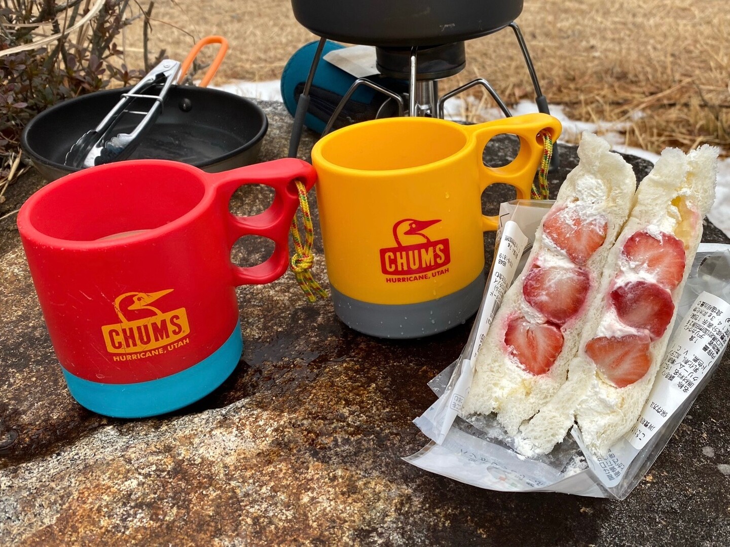 山頂でセブンの苺サンド🍓雪の残る⛄️大... / Hideさんのモーメント | YAMAP / ヤマップ