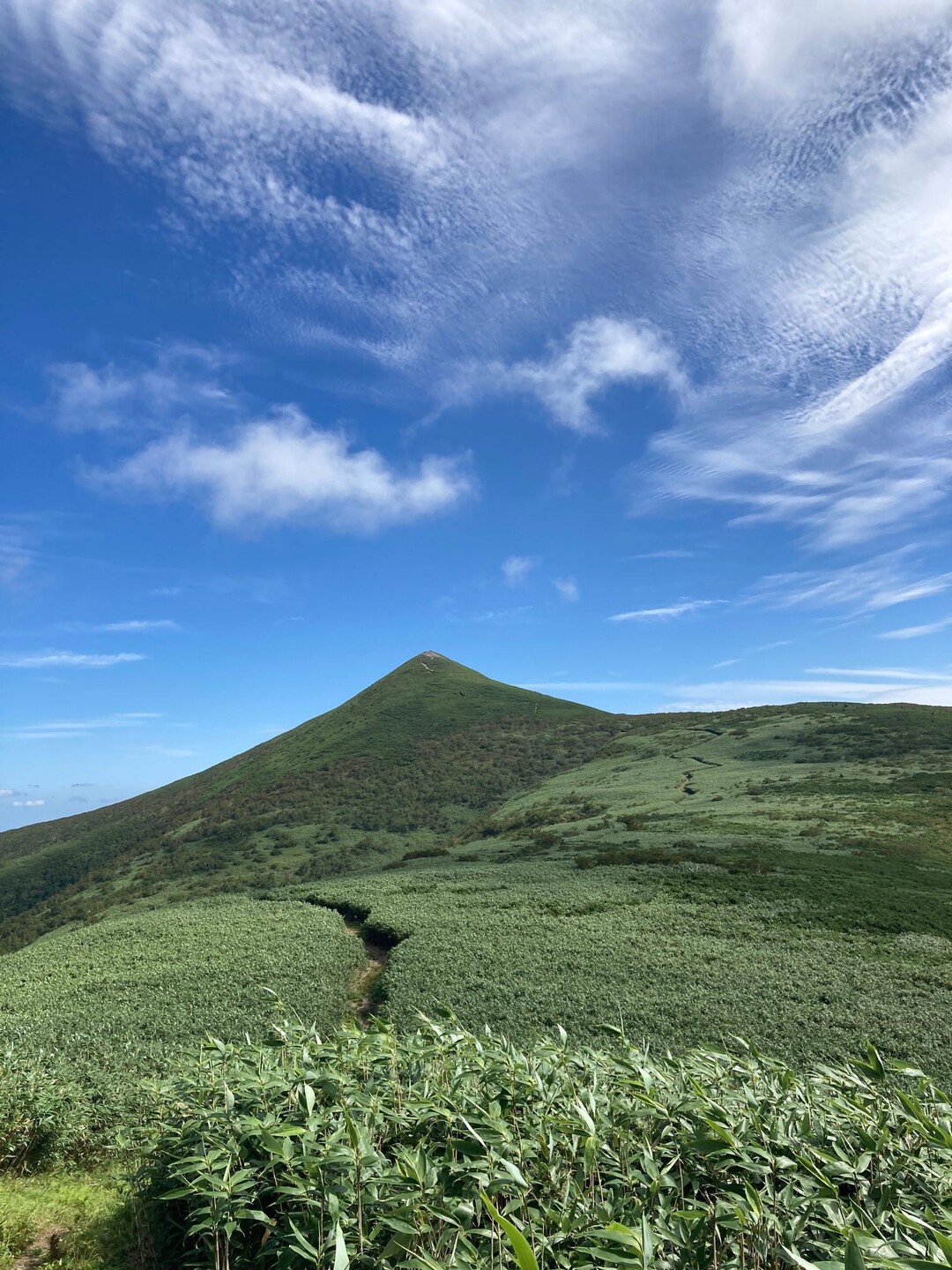 前天塩岳・天塩岳・西天塩岳・天塩円山 / TKさんの天塩岳の活動データ | YAMAP / ヤマップ