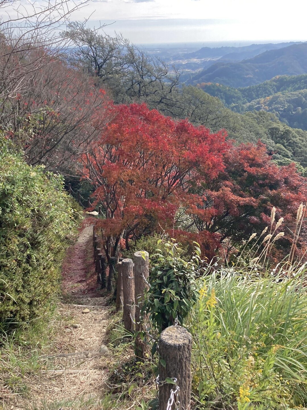 今日の小笠山🍁紅葉情報です😉 / めろんさんのモーメント | YAMAP / ヤマップ