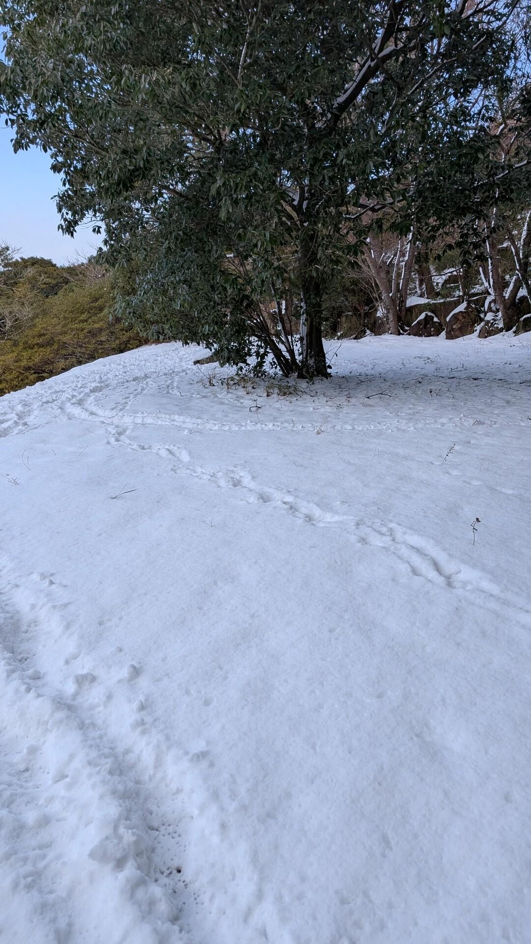 ①ひでねこキャンプ場 ②うちのミナト ③... / by hideさんのモーメント | YAMAP / ヤマップ