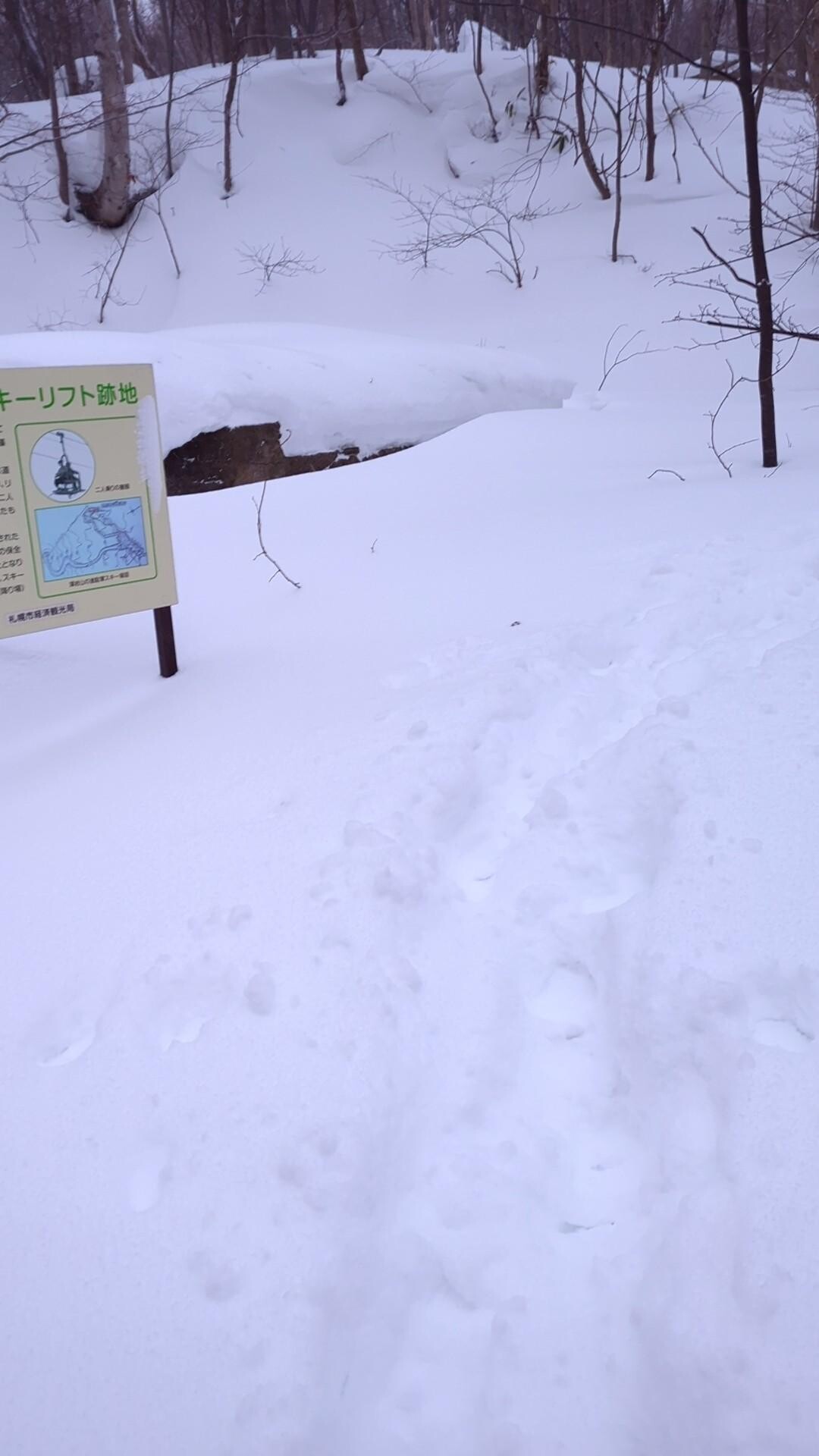 藻岩山 / hdl(はる)さんの藻岩山の活動データ | YAMAP / ヤマップ