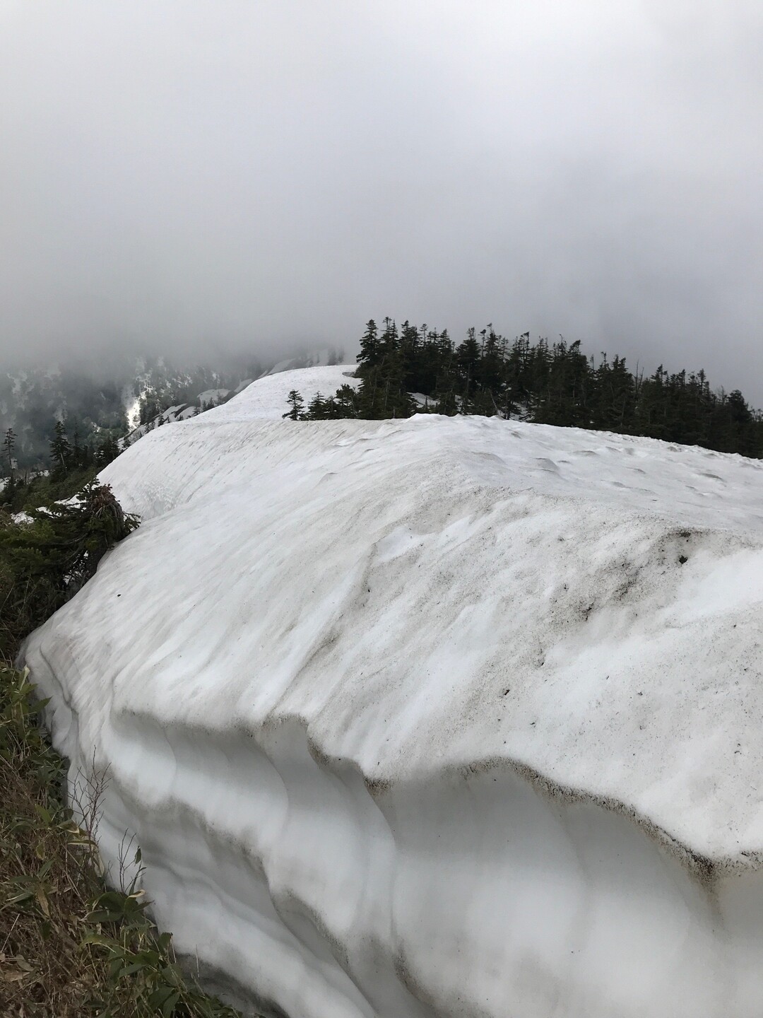 ytさんの投稿したフィールドメモ | YAMAP / ヤマップ