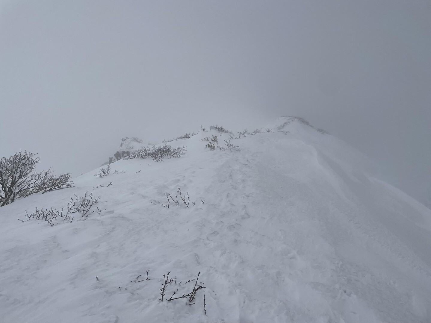 秋田駒ヶ岳2024-02-24 / Teaさんの秋田駒ヶ岳・男女岳・貝吹岳の活動データ | YAMAP / ヤマップ