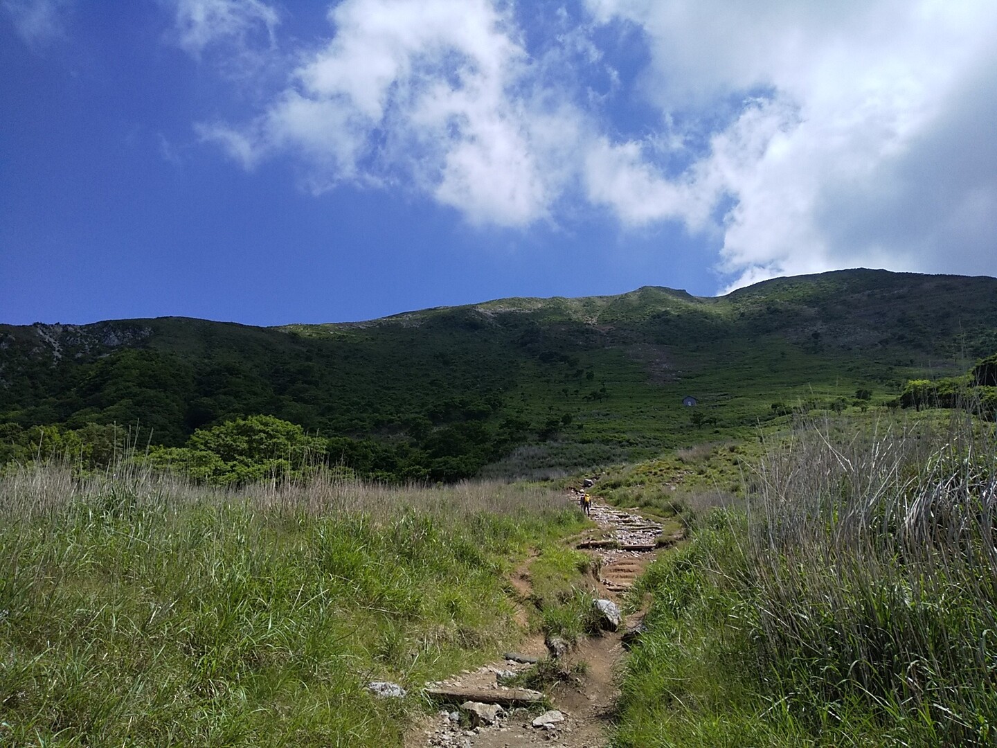 伊吹山 / satomi29さんの伊吹山・伊吹高原・御座峰の活動データ | YAMAP / ヤマップ