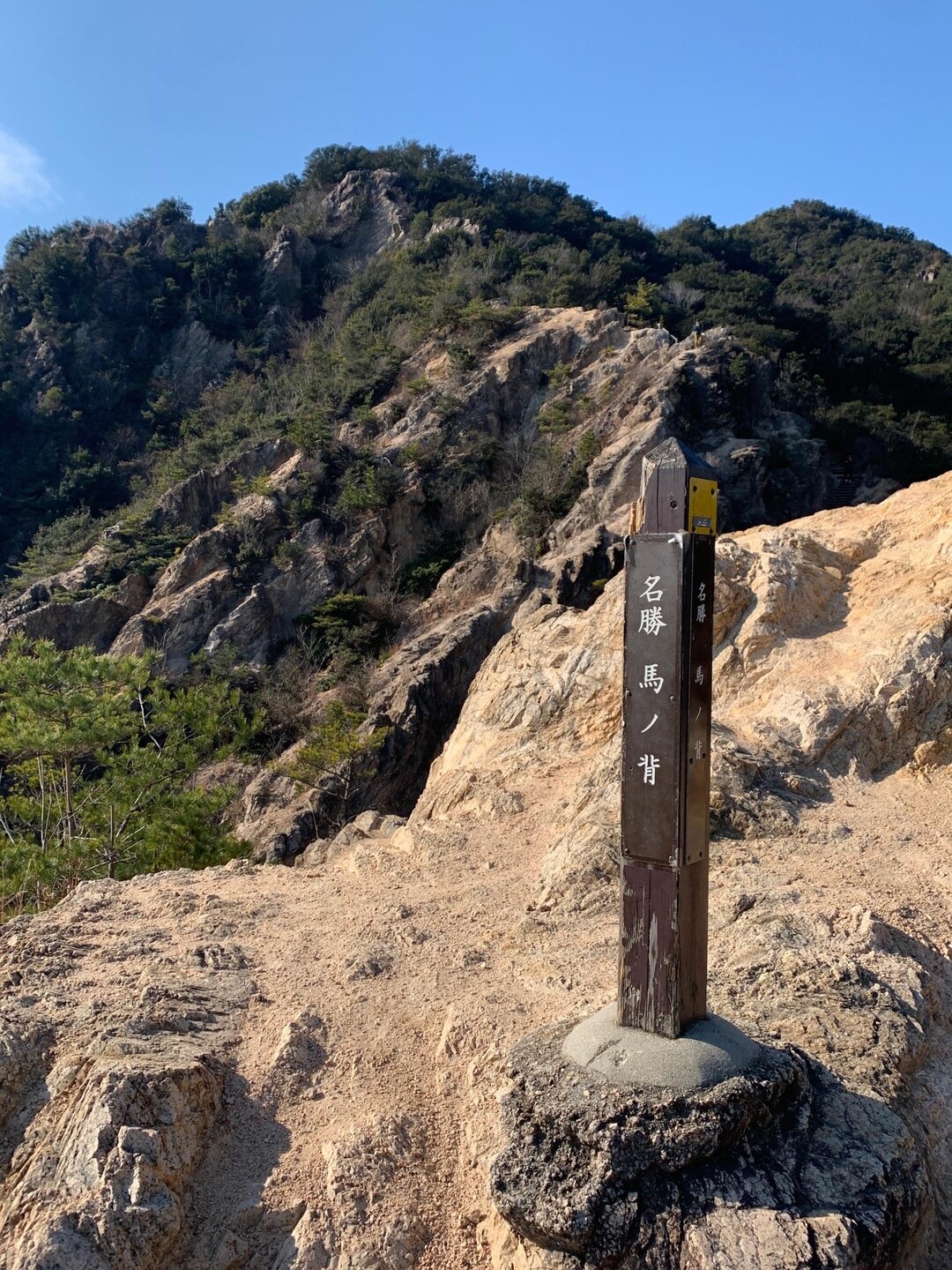 鉢伏山・旗振山・鉄拐山・高倉山・栂尾山・横尾山・東山 / kuronekoまぁたんさんの六甲山・長峰山・摩耶山の活動データ | YAMAP / ヤマップ