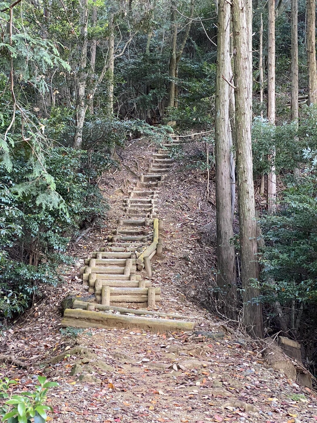 JUN’YAさんの投稿したフィールドメモ | YAMAP / ヤマップ