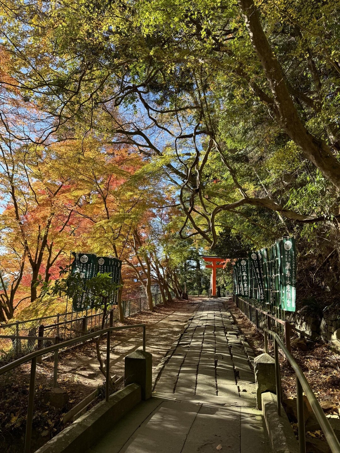 鳳来寺山・瑠璃山🍂 / BANBANさんの宇連山・鳳来寺山・岩古谷山の活動データ | YAMAP / ヤマップ