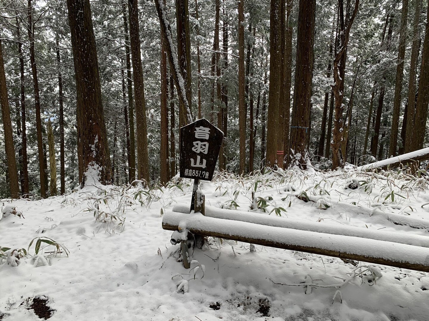 音羽山・経ヶ塚山・熊ヶ岳 / mh-mhさんの音羽山・竜門岳（龍門岳）・熊ヶ岳の活動データ | YAMAP / ヤマップ