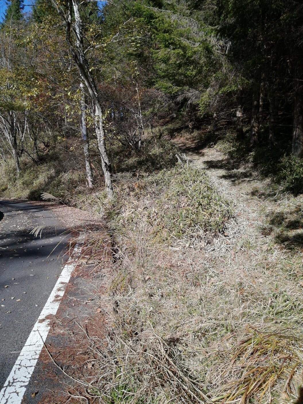 AZUさんの投稿したフィールドメモ | YAMAP / ヤマップ