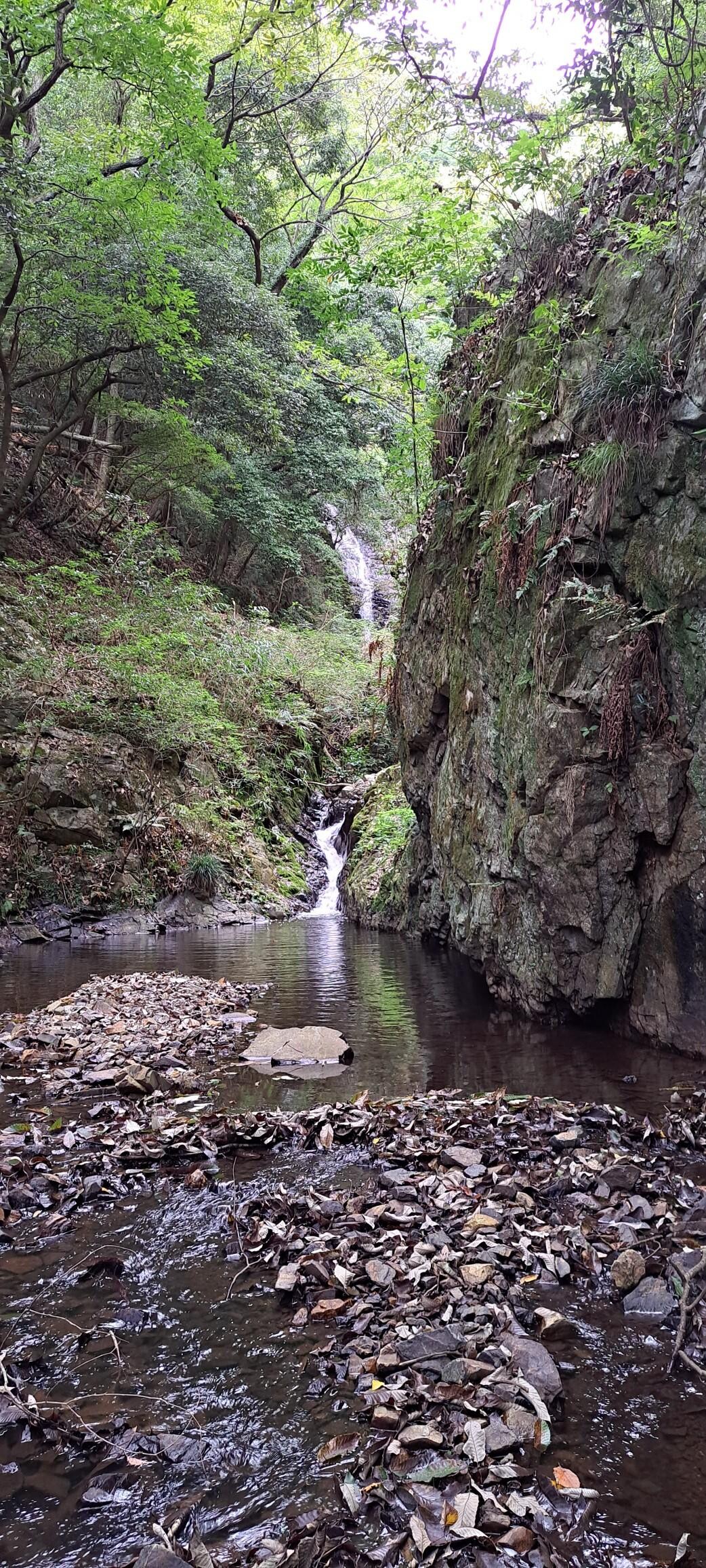 kame11さんの投稿したフィールドメモ | YAMAP / ヤマップ