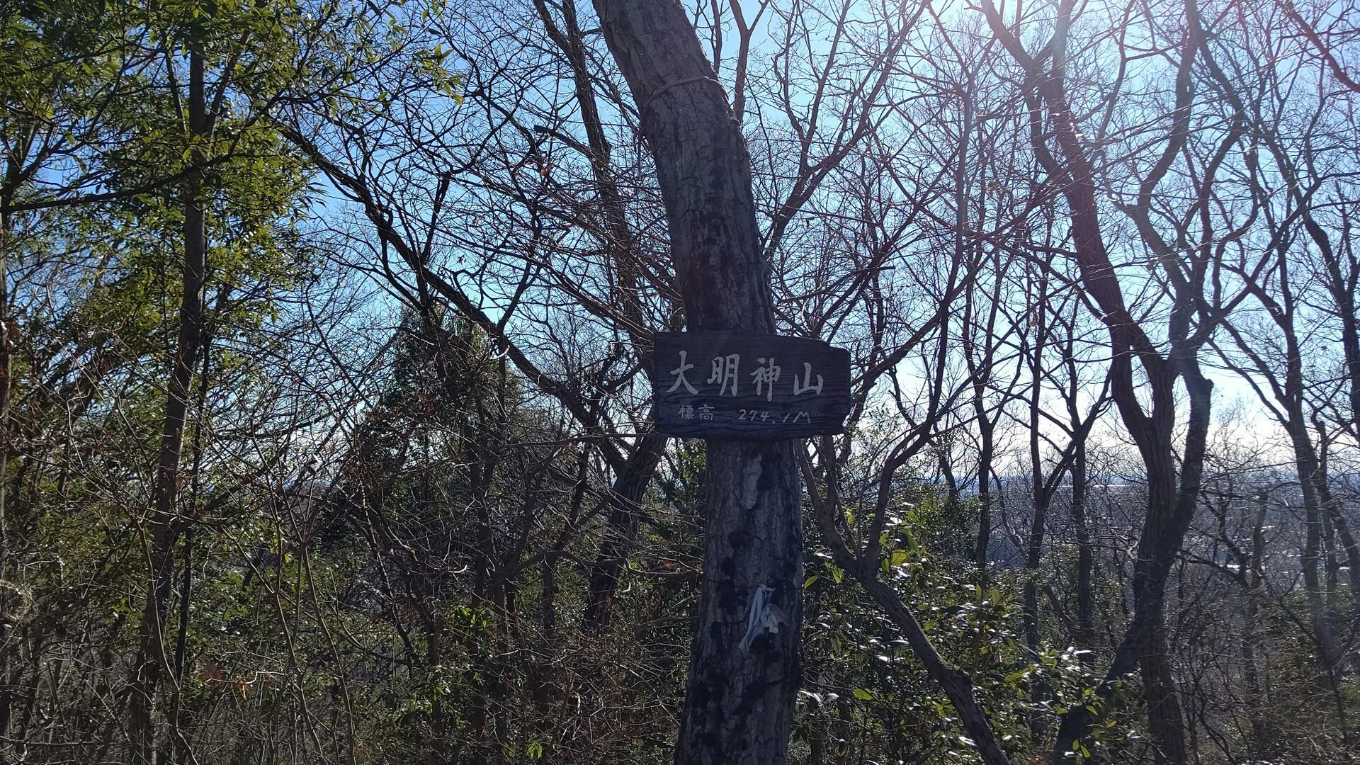 大明神山・馬不入山・青入山・晃石山・太平山 / moenoeさんの太平山・晃石山・唐沢山の活動データ | YAMAP / ヤマップ