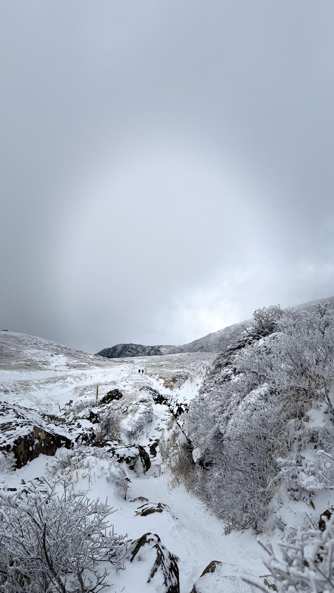沓掛山・中岳・天狗ヶ城 / jo__peiさんの九重山（久住山）・大船山・星生山の活動データ | YAMAP / ヤマップ