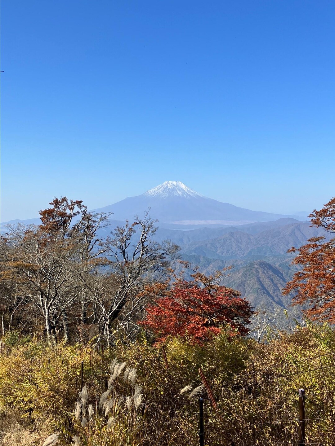 西丹沢コースの檜洞丸・熊笹ノ峰・大笄・小笄 / 8Man.GTさんの大室山・畦ヶ丸山・菰釣山の活動データ | YAMAP / ヤマップ