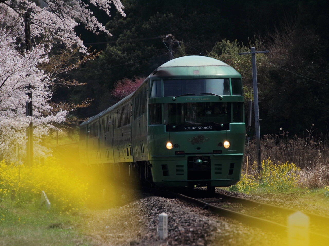 撮り鉄してきました〜🌸桜満開🌼 日田... / kumiさんのモーメント | YAMAP / ヤマップ