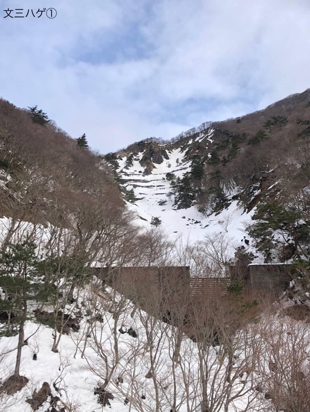 R5 2月7日 綿向山（文三ハゲ往復）... / オオイシさんのモーメント | YAMAP / ヤマップ
