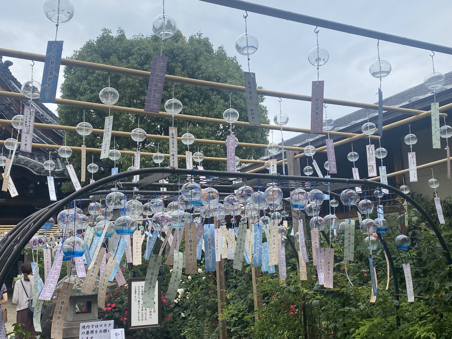 「花まんだらのお寺」 おふさ観音で、風鈴... / varaderoさんのモーメント | YAMAP / ヤマップ