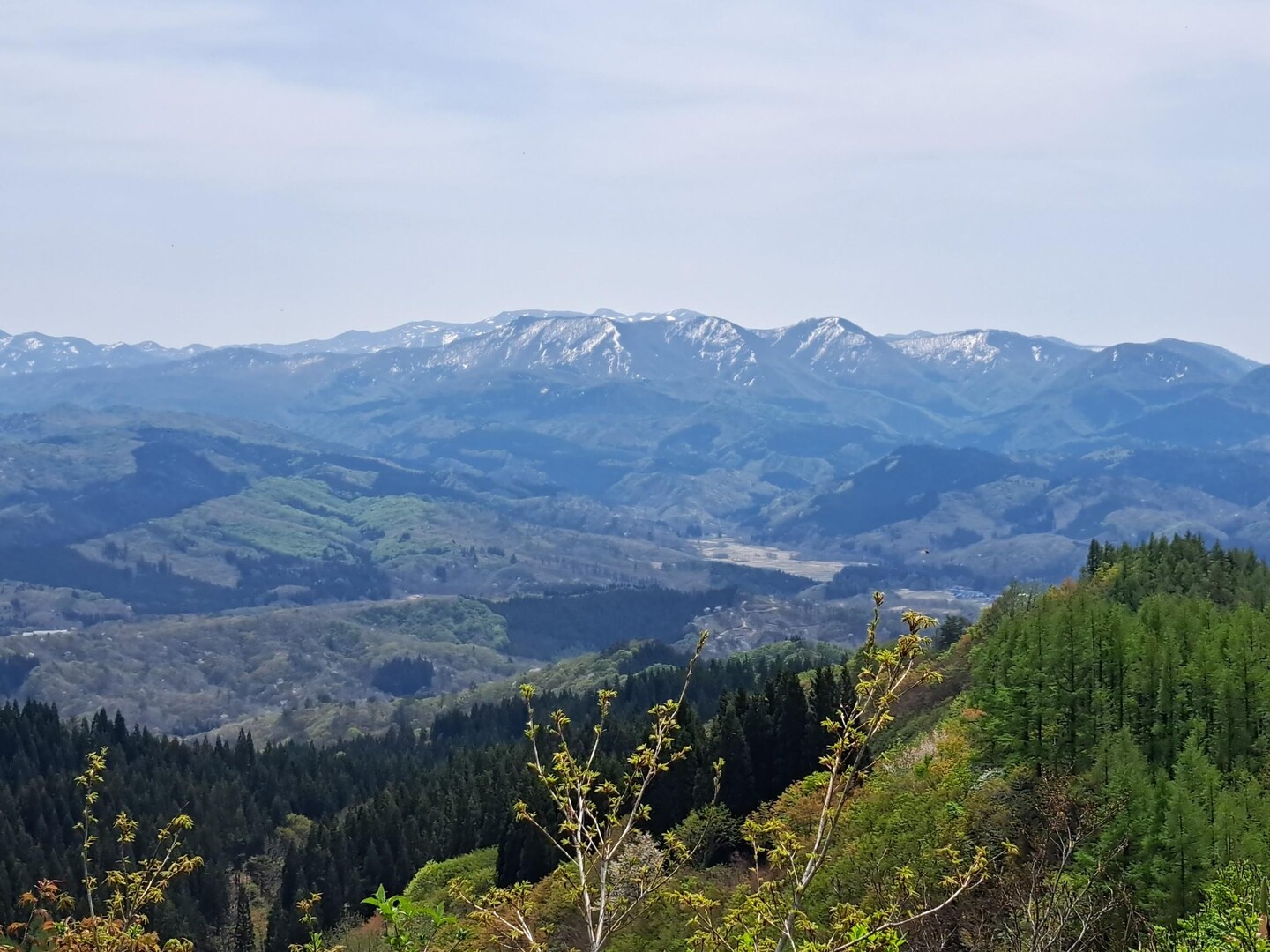 白木峠 / Ku-minさんの白木峠の活動データ | YAMAP / ヤマップ