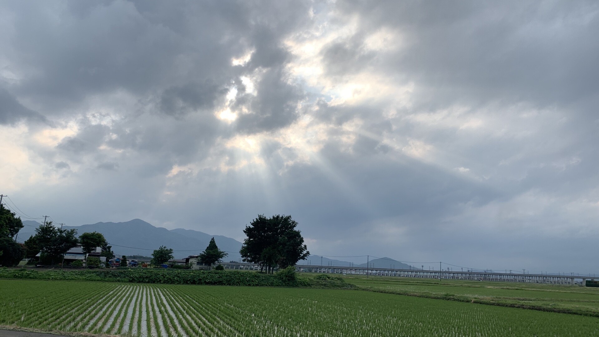 ようやく晴れてきた盛岡市。 この時期はど... / neeleさんのモーメント | YAMAP / ヤマップ