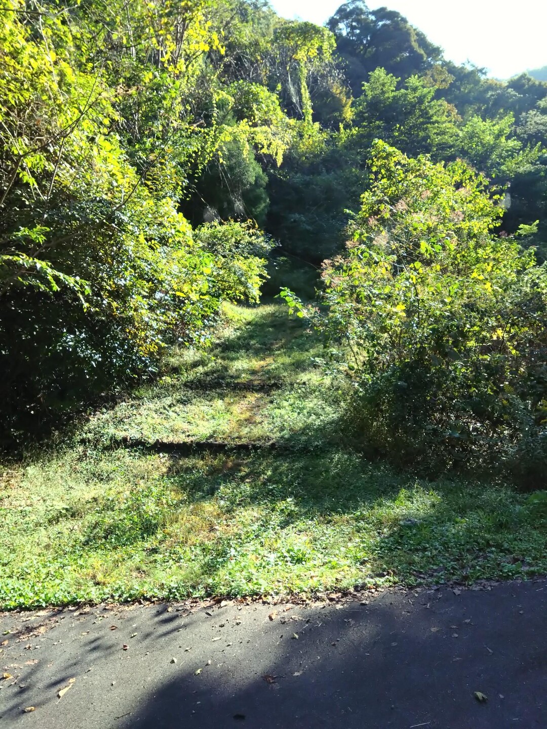 発熱明けのウォーキング / macharuさんの百々ヶ峰・源太峰の活動データ | YAMAP / ヤマップ