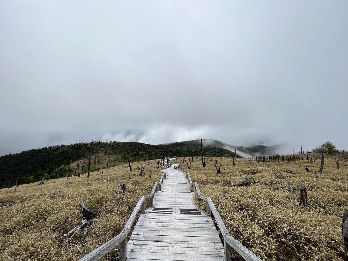大台ヶ原山（日出ヶ岳） / jimさんの大台ヶ原山・日出ヶ岳・大杉谷の活動データ | YAMAP / ヤマップ