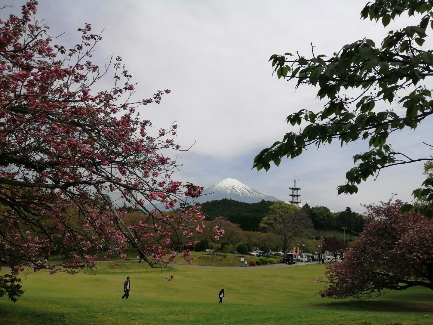 岩本山・明星山 / Koheiさんの岩本山・明星山の活動データ | YAMAP / ヤマップ