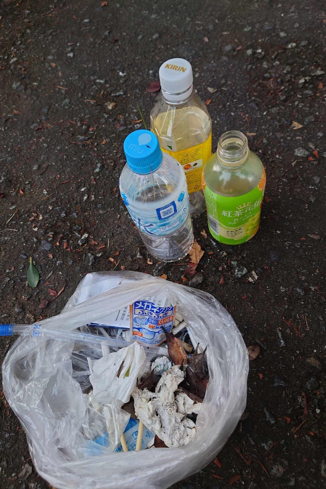 猛暑日続く 28分登頂 / ta2さんの鳴神山・吾妻山の活動日記 | YAMAP / ヤマップ