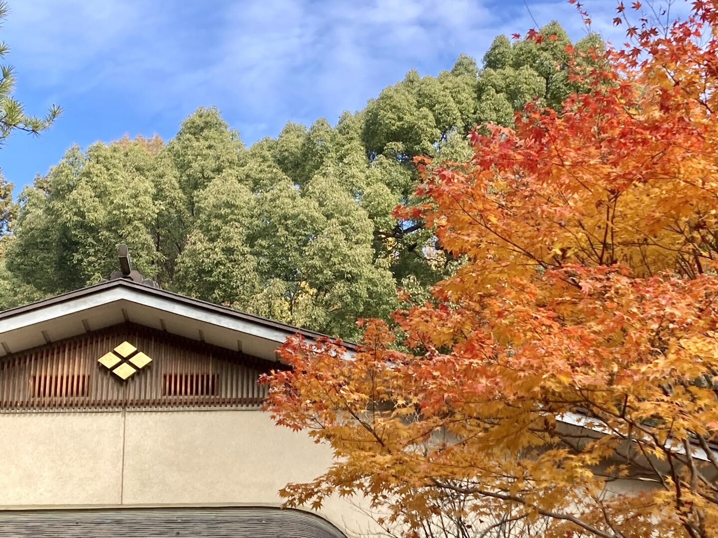 信玄公ゆかりの甲斐武田神社 / Ozanさんの甲府市の活動データ | YAMAP / ヤマップ