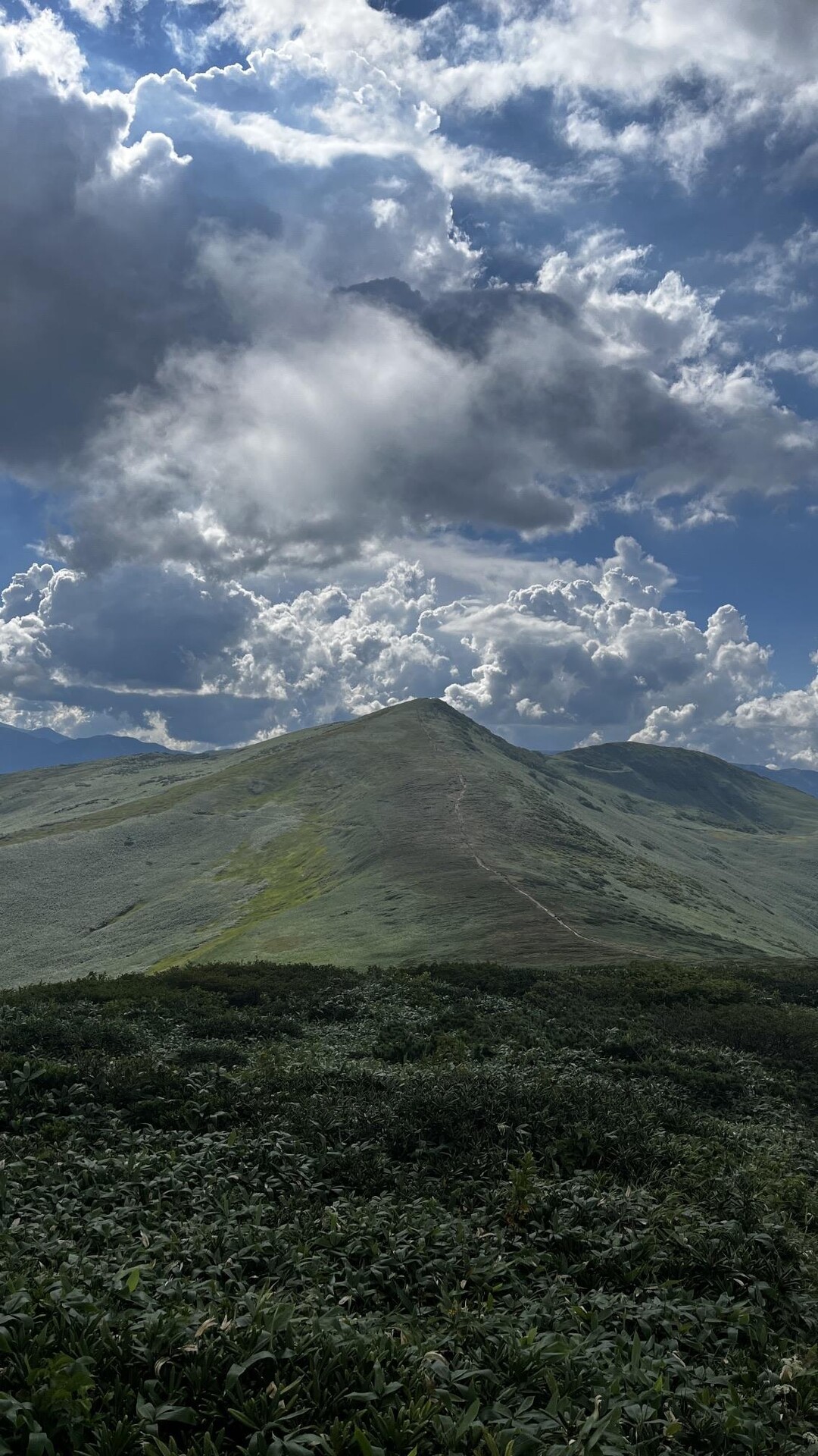 平標山・仙ノ倉山 / SABoさんの仙ノ倉山・平標山・大源太山の活動データ | YAMAP / ヤマップ