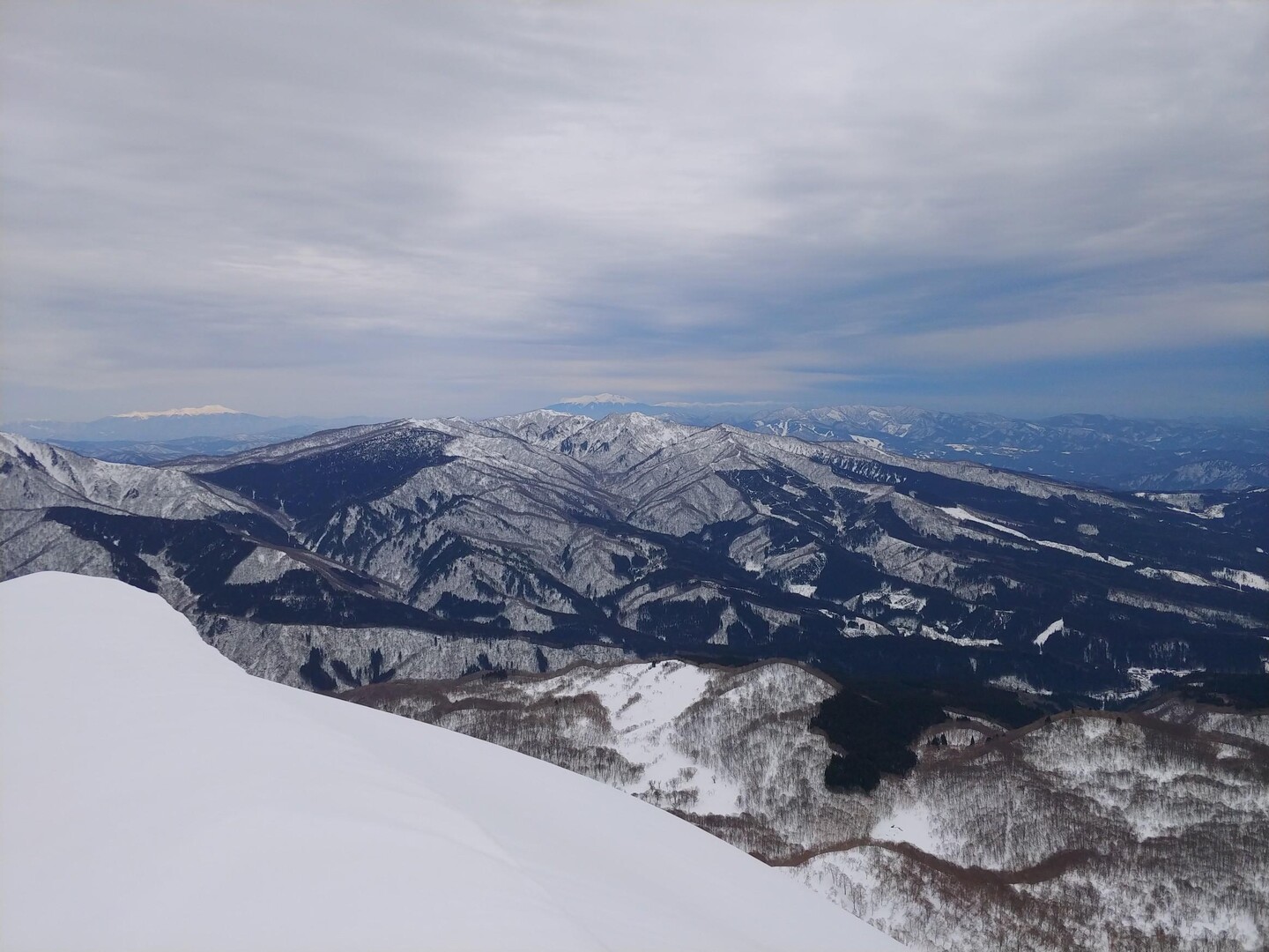 野伏ヶ岳 / meg♡さんの野伏ヶ岳の活動データ | YAMAP / ヤマップ