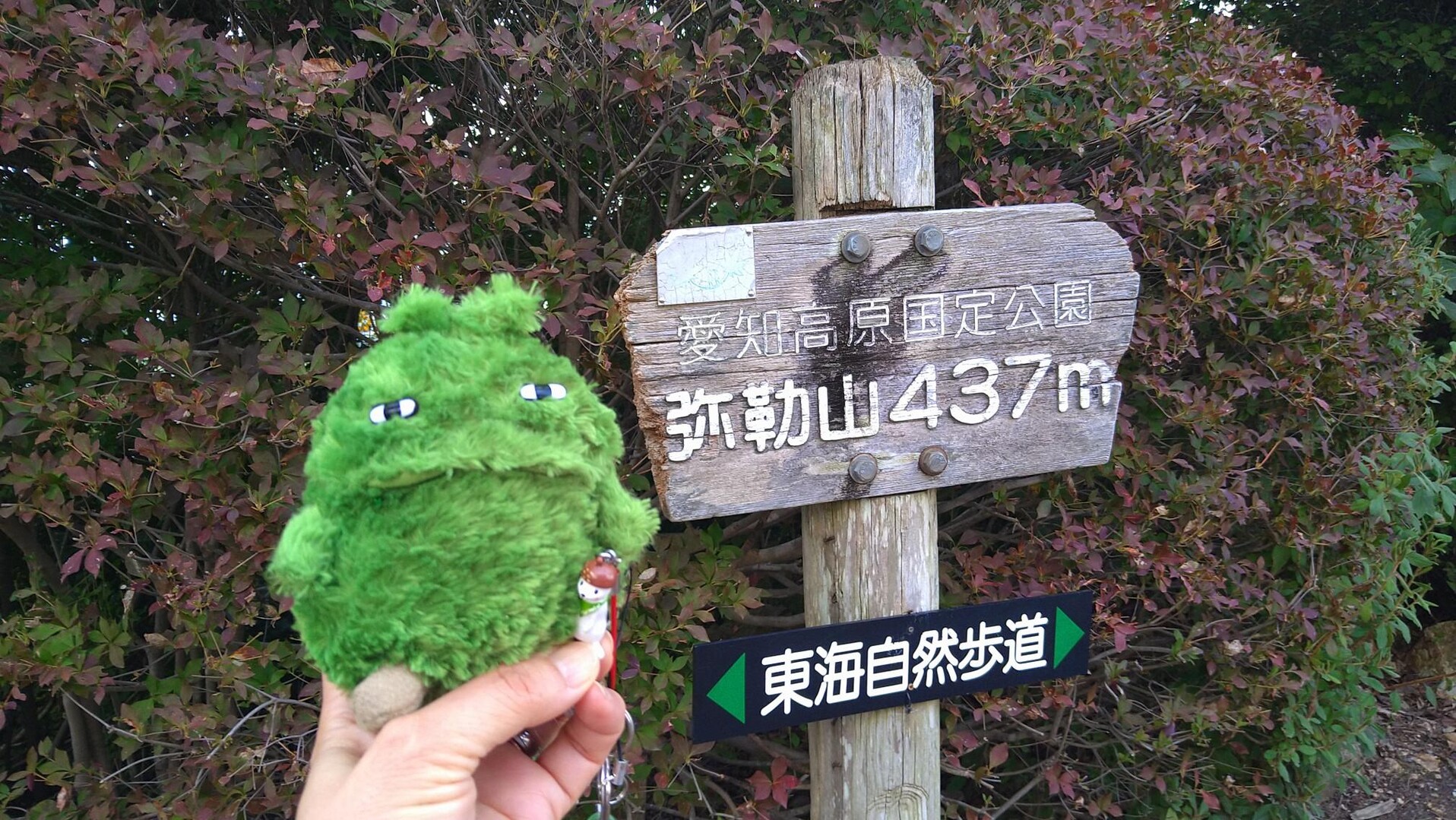 春日井三山でゆるトレ‼️‼️(道樹山・大谷山・弥勒山) / minyayonさんの春日井三山・弥勒山・大谷山・道樹山の活動データ | YAMAP / ヤマップ