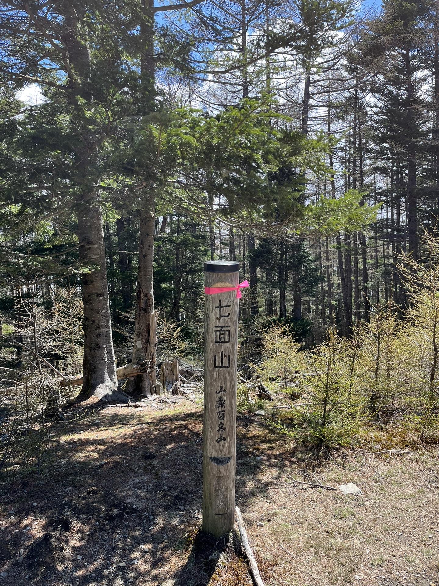 七面山・希望峰 / Yaッちゃんさんの七面山・身延山の活動データ | YAMAP / ヤマップ